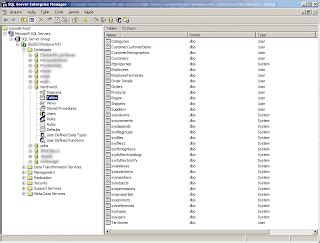 Estação ZN Delphi Intraweb Acessando dados BDS