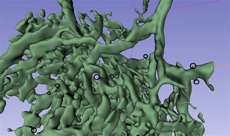 Setting Up The Segmentation Volume For Extract Centerline Module Vmtk