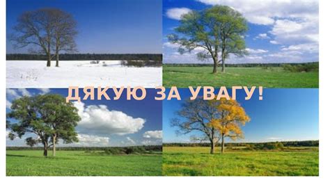 Презентація на тему Пори року Презентація Природознавство