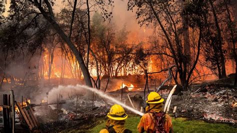 Incendio Park Arrasa Con Miles De Hectáreas En California Cadena Politica