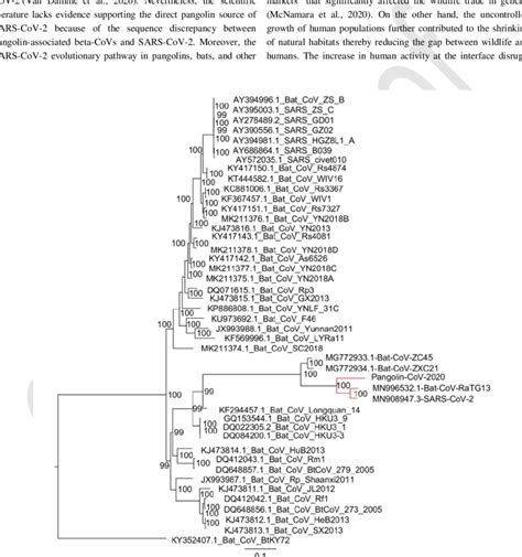 Phylogenetic Analyses Of Whole Genome Sequences Depicting The