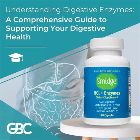 Understanding Digestive Enzymes A Comprehensive Guide To Supporting