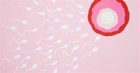 Fertilité Masculine La Concentration De Spermatozoïdes Baisse Partout