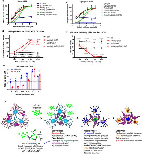 Anti Aβ Protects Neurons By Keeping Aβ Soluble In Supernatant And Download Scientific Diagram