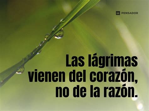 Frases De Amor Tristes