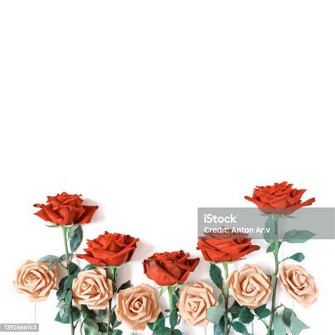생일 약혼 결혼식 기념일 어머니의 날 인사말 카드를위한 꽃 레이아웃 흰색 배경에 고립 된 빨간색과 베이지 색 장미 상단 보기