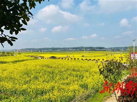 宁乡市花香袭人 收获喜人 腾讯新闻