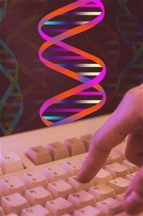 DNA Computer