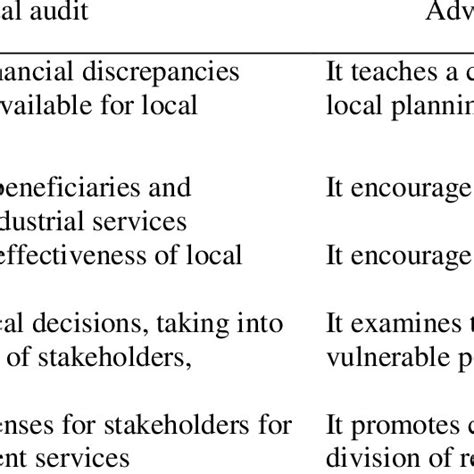 Advantages And Disadvantages Of Internal And External Social Audit