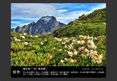 2023華南銀行「臺灣國家公園四季之美」全國攝影大賽得獎作品線上展覽