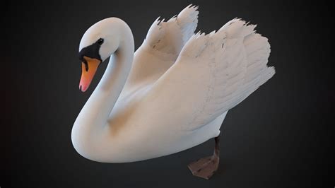 Swan 3d Model 29 3ds Fbx Obj Max Unknown Free3d