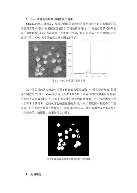 GitHub ChongbinZhao Fruits Detection