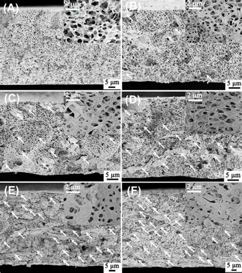 Figure 2 From Ordered Mesoporous Silicapolyvinylidene Fluoride