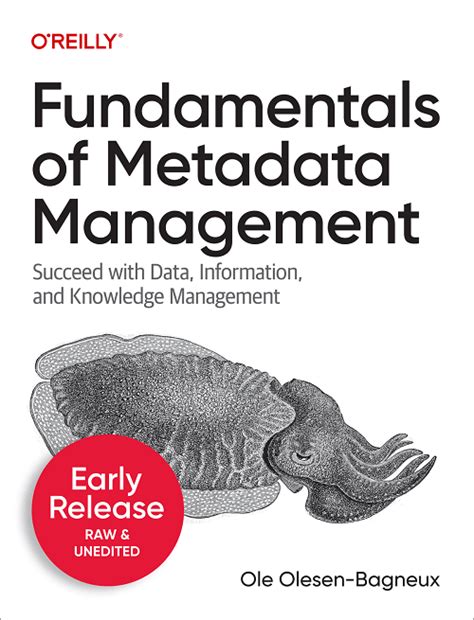 Fundamentals Of Metadata Management Succeed With Data Information And