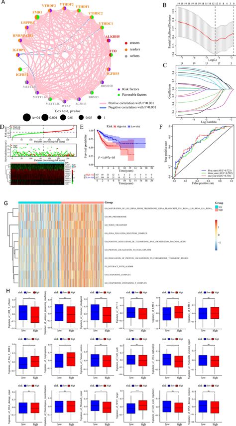 Construction Of M⁶a Risk Scoring Model And Influence Of M⁶a Risk Model