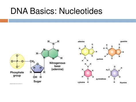 Ele 523e Computational Nanoelectronics Ppt Download