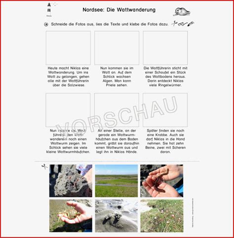 Angepasst Nordsee Arbeitsblätter Grundschule Kostenlos Für Sie Kostenlose Arbeitsblätter Und