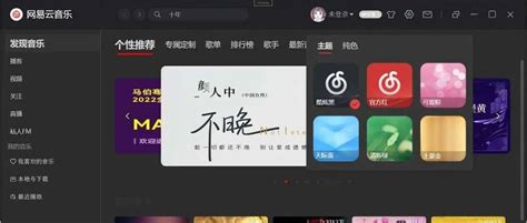 以假乱真，推荐一个开源的基于 c 和 wpf 开发的网易云音乐客户端 项目 功能 播放器