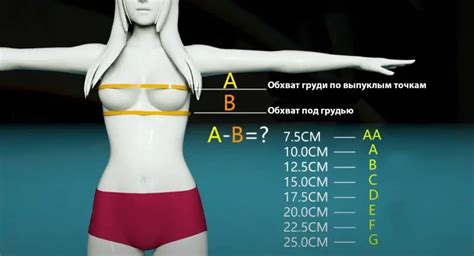 Breast Size In Genshin Impact Which Character Has The Biggest Breasts