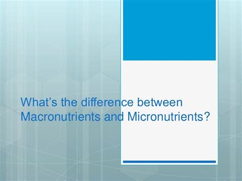 Whats The Difference Between Macronutrients And Micronutrients