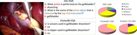 Advancing Surgical Vqa With Scene Graph Knowledge Pmc