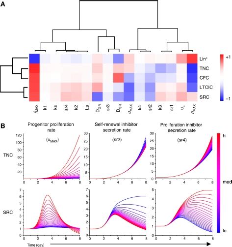 Parameter Sensitivity Analysis And Select Phase Portraits Reveal