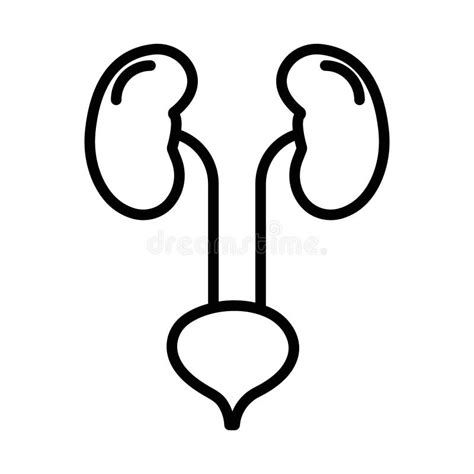 Urinary System Icon Linear Logo Mark In Black And White Stock
