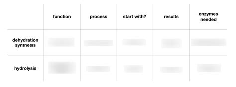 Hydrolysis And Dehydration Synthesis Diagram Quizlet