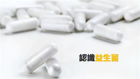 認識益生菌