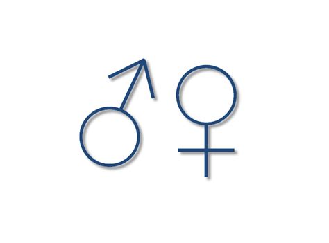 Progetto Lutte Contre Les Stéréotypes Sexistes Casa Di Carità Arti E