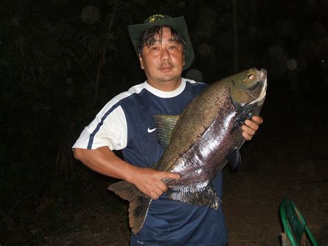 Birigui Sport Fishing Pesca Noturna