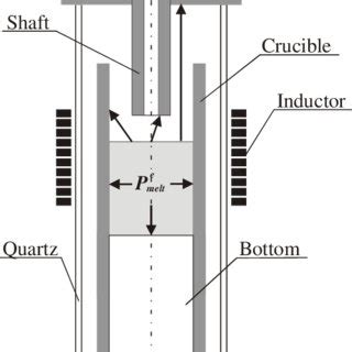 Scheme Of The Induction System Download Scientific Diagram