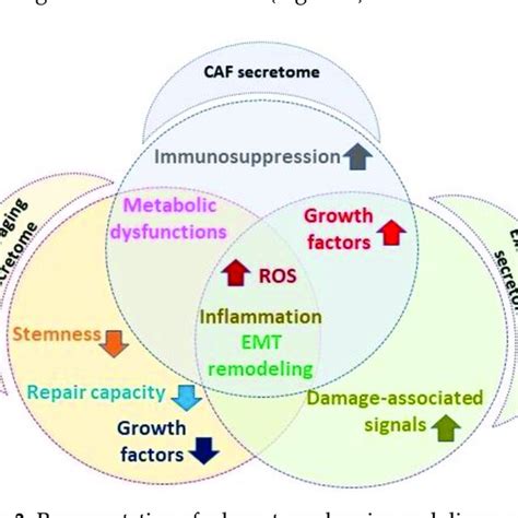 Representation Of Relevant Overlapping And Divergent Characteristic Of Download Scientific