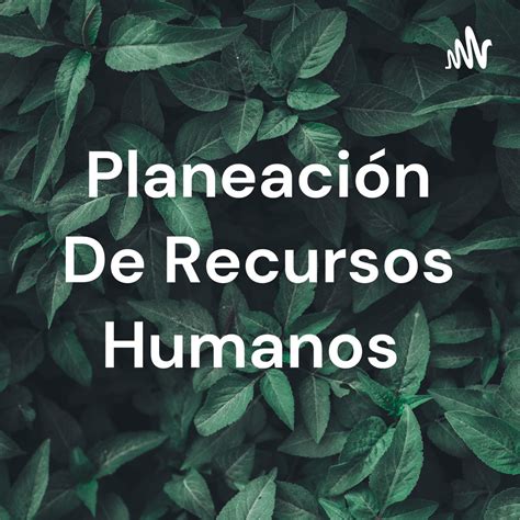 Planeación De Recursos Humanos Lyssna Här Podtail