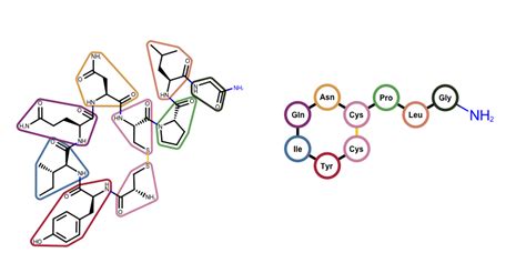 Depicting Peptides Openeye Python Cookbook Voct