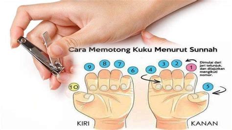 Larangan Potong Kuku Di Hari Minggu Dalam Islam Dan Tata Cara Potong Kuku Yang Baik Halaman 3