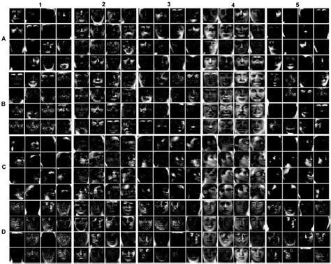 the bases learned by different representative nmf and pnmf algorithms