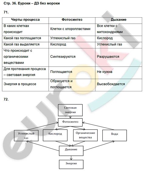 Биология 6 класс в таблицах и схемах пасечник