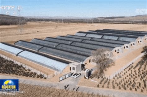 【在新征程上弘扬“右玉精神”】发扬右玉精神，在更高起点推动绿色发展右玉县