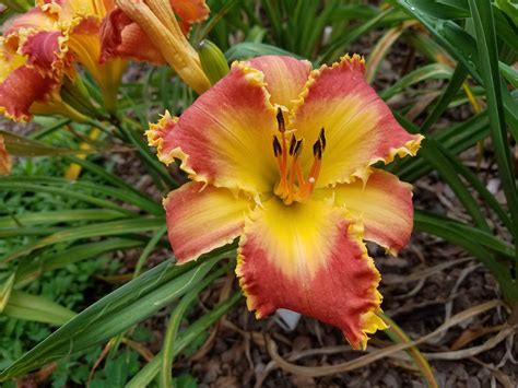 Vampire Slayer Bentley Gardens