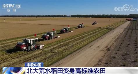 北大荒水稻田变身高标准农田 种粮农民收获惊喜 新闻中心