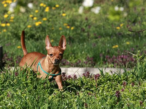 Времето с аромат на пролет Фото галерии Vesti Bg