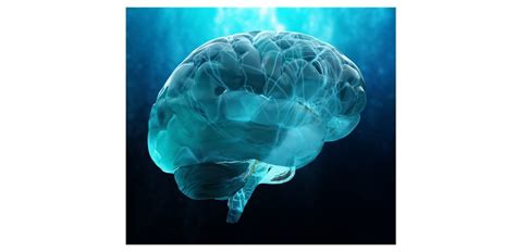 Fully Funded Phd Programs In Neuroscience In United States
