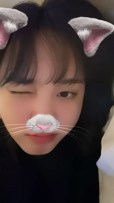 리즈 연예인잡담 에펨코리아