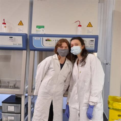 How To Quantify Polynuclear Neutrophiles On Microscope Imaging On