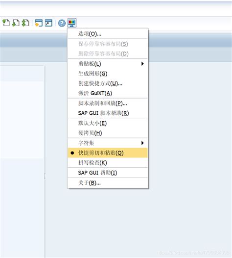 sap快速复制 sap script 复制 csdn博客
