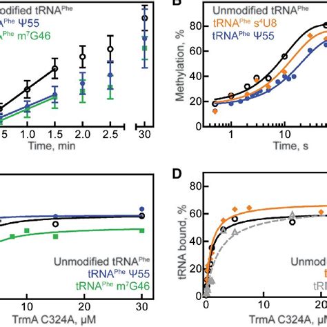 Trna Modification And Binding Preferences For Trma A Download