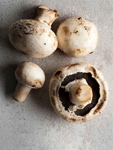 6 Health Benefits Of Edible Mushrooms
