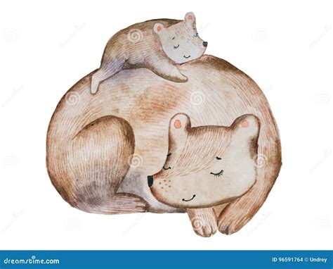 Cute Cartoon Brown Bear And Little Cub Laying On Its Back Sleeping