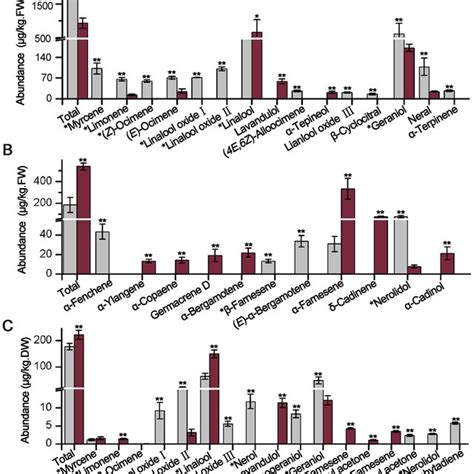 The Pathway Of Terpene Synthase Gene Responsible For The Formation Of Download Scientific